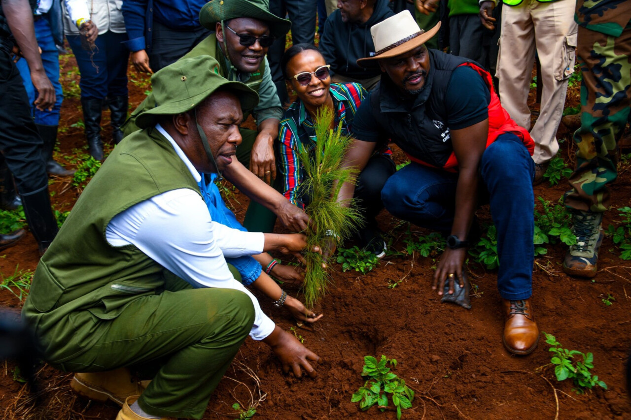 Dr. Barasa, Felix Koskei Lead Tree-Growing Drive in Elgeyo Marakwet | Tukio