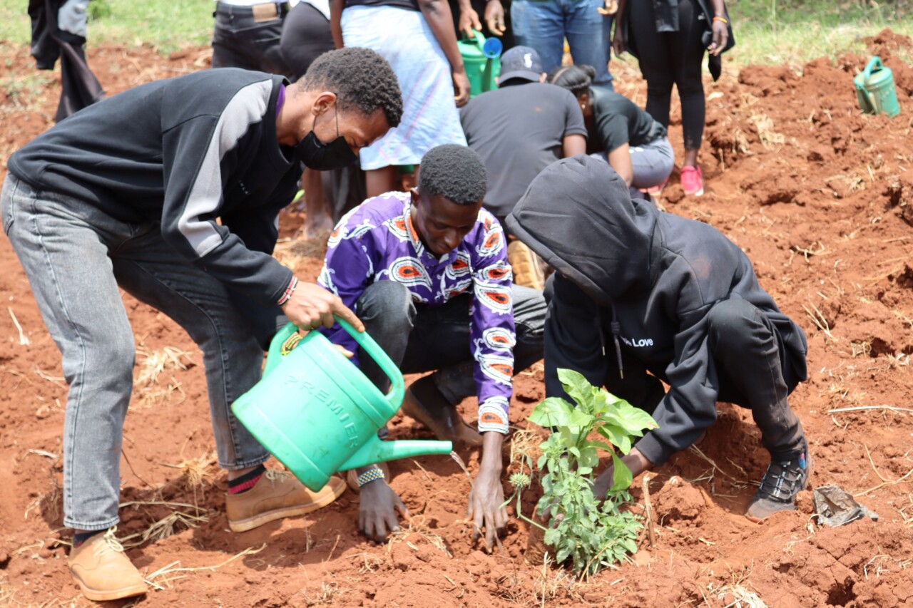 PSC Has Launched a Tree Planting Campaign Ahead of Mazingira Day | Tukio